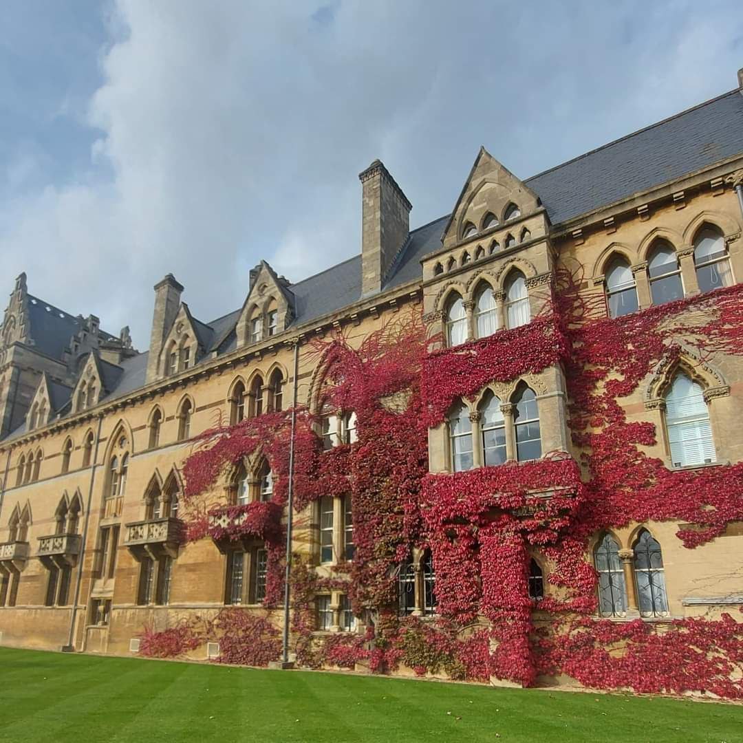 About - MY•OXBRIDGE